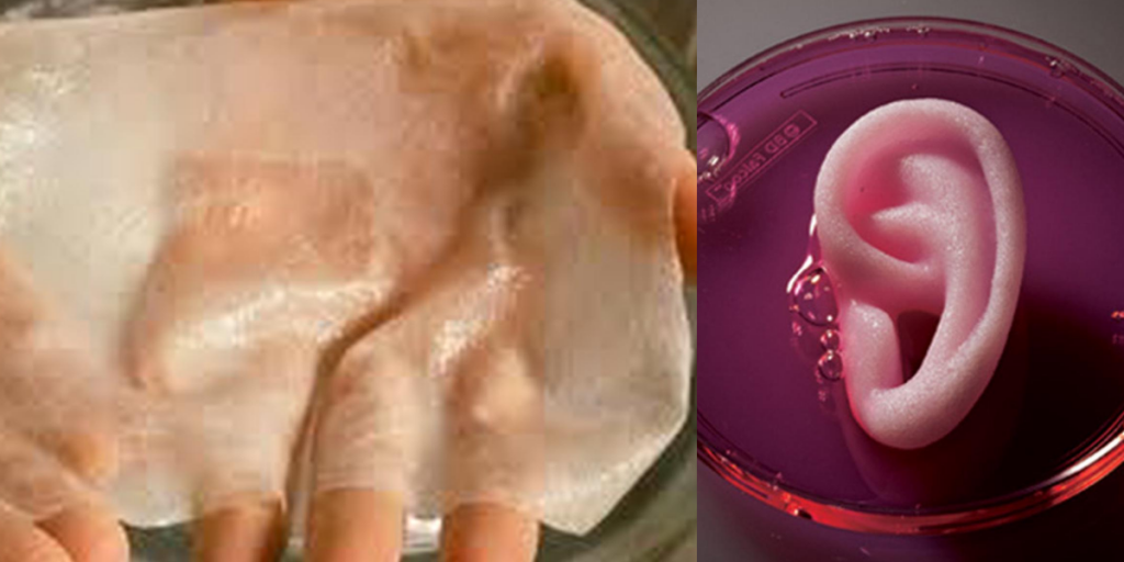 3D Bioprinting for Medical and Enhancement purpose | Geeetech