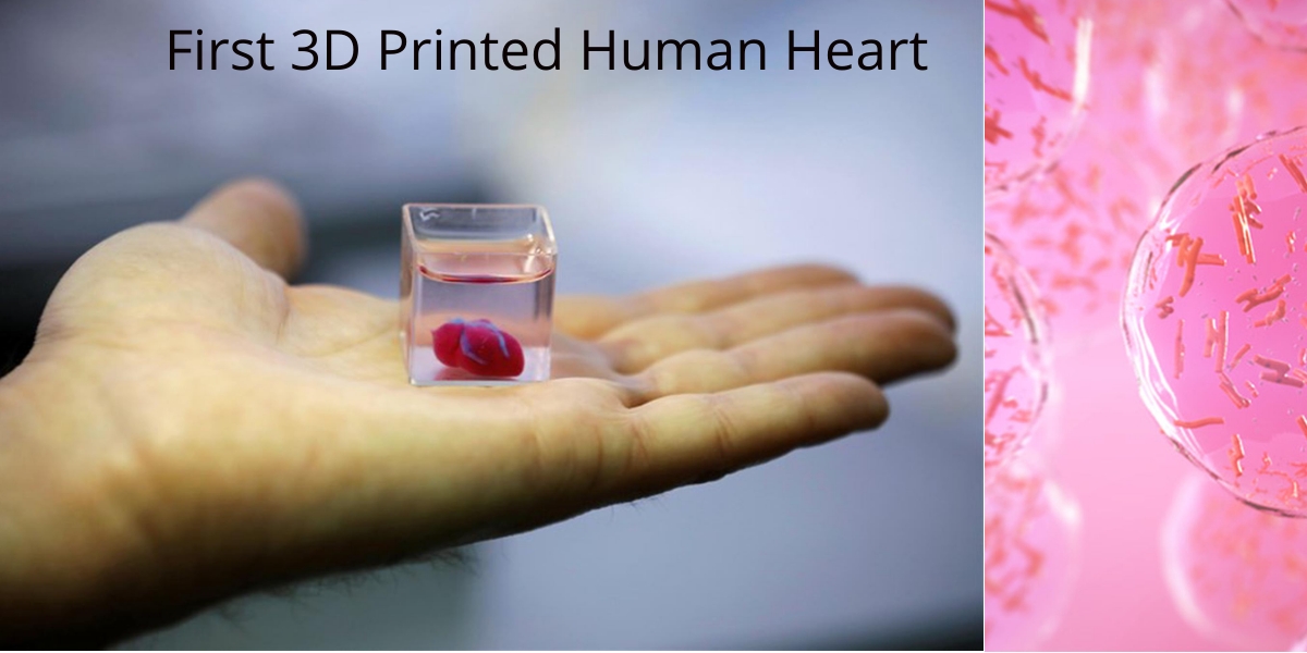 3D Bioprinting for Medical and Enhancement purpose | Geeetech